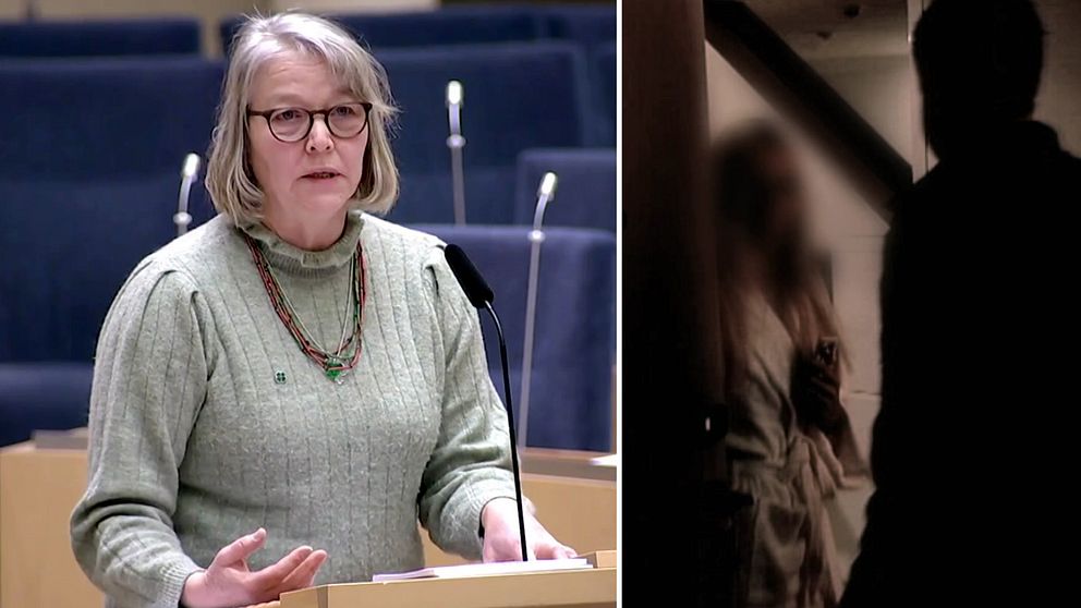 Sveriges Riksdag Svt Nyheter