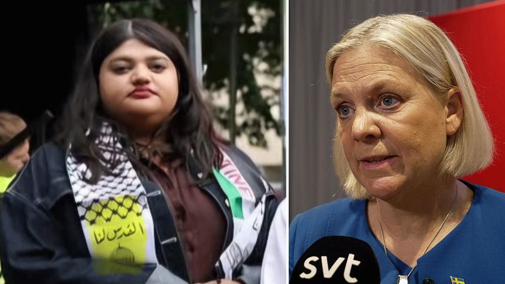 Socialdemokraterna | SVT Nyheter
