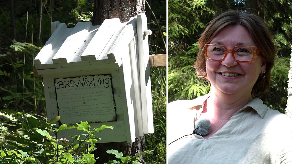 Afrosvenskar anklagar Socialdemokraterna i Sörmland för diskriminering | SVT Nyheter