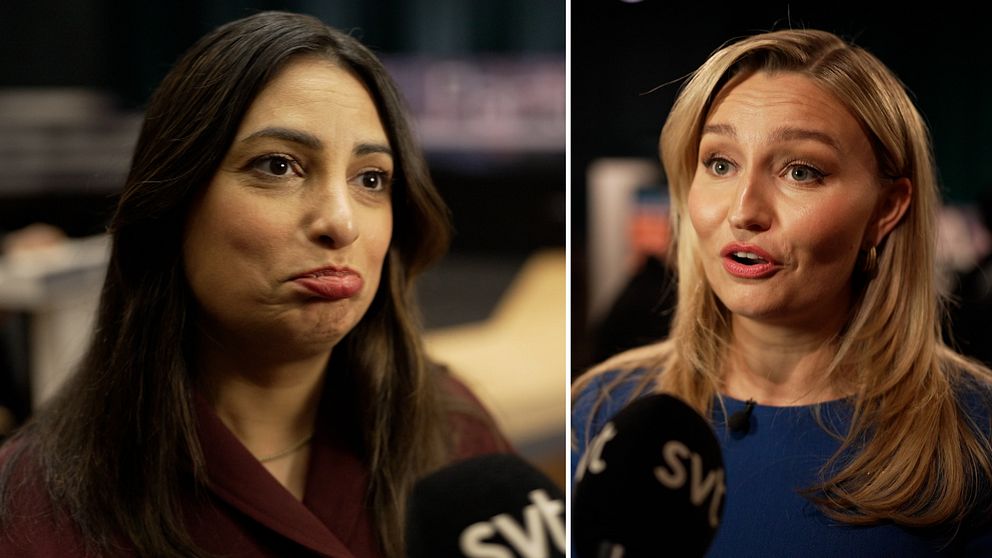 Nooshi Dadgostar | SVT Nyheter