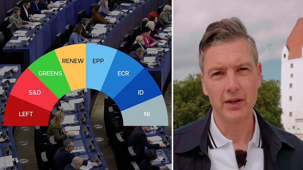 Här är grupperna du röstar på – och deras utmaningar | SVT Nyheter