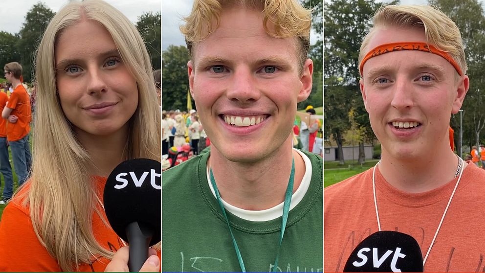 Ett besökarinlägg i "Så satsar SVT på Andersberg i Halmstad under våren – tipsa oss" | SVT Nyheter