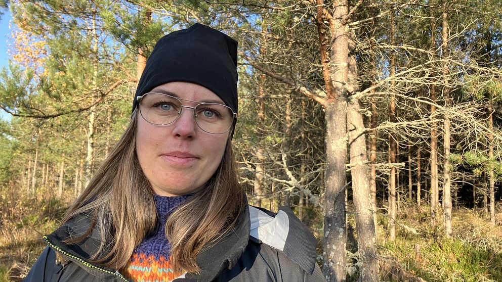 Mål för tall på mager mark uppnått – men inte i Värmland | SVT Nyheter
