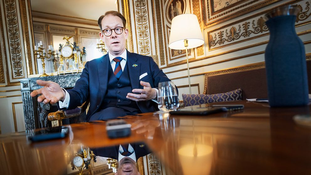 Billström får jobb inom försvarsindustrin | SVT Nyheter