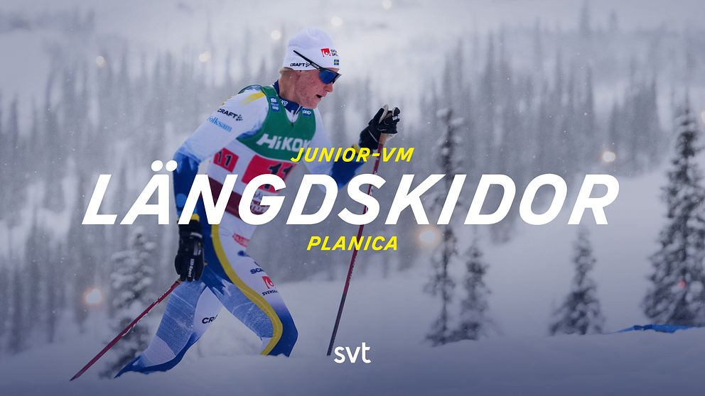 Ett besökarinlägg i "Vintersport: Vinterstudion 2023/2024 – följ ...