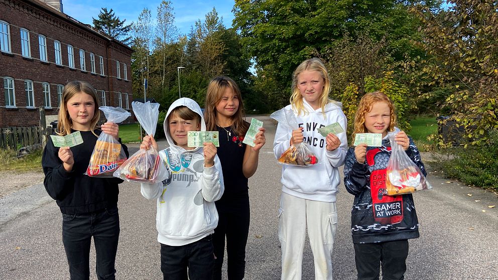 Katten Rufus överlevde två veckor i källaren – räddades av grannbarnen ...