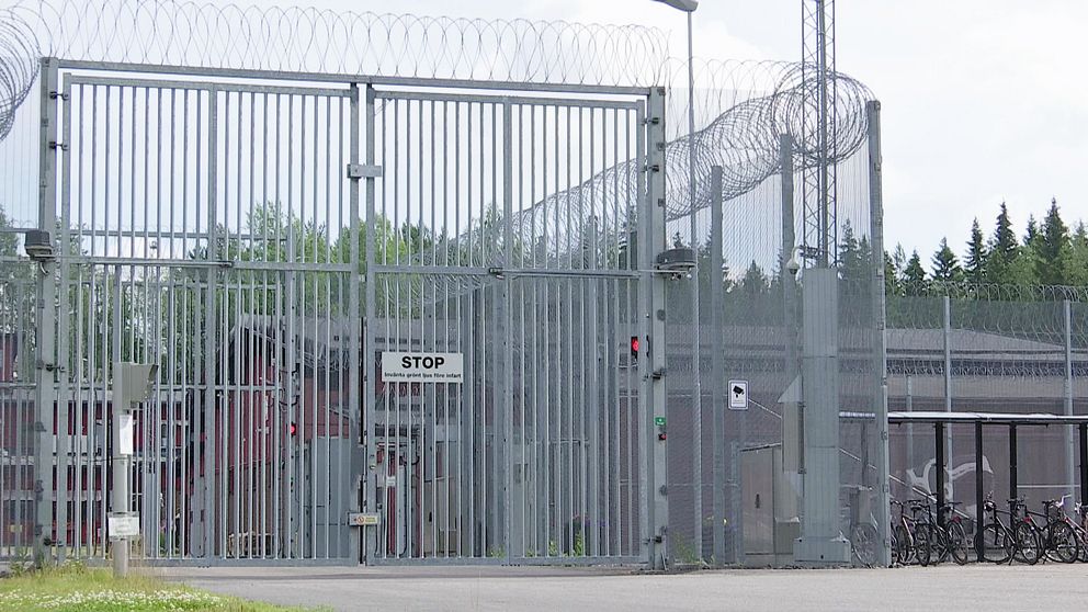 Två Släppta Efter Misstänkt Mordförsök I Luleå En Anhållen Svt Nyheter