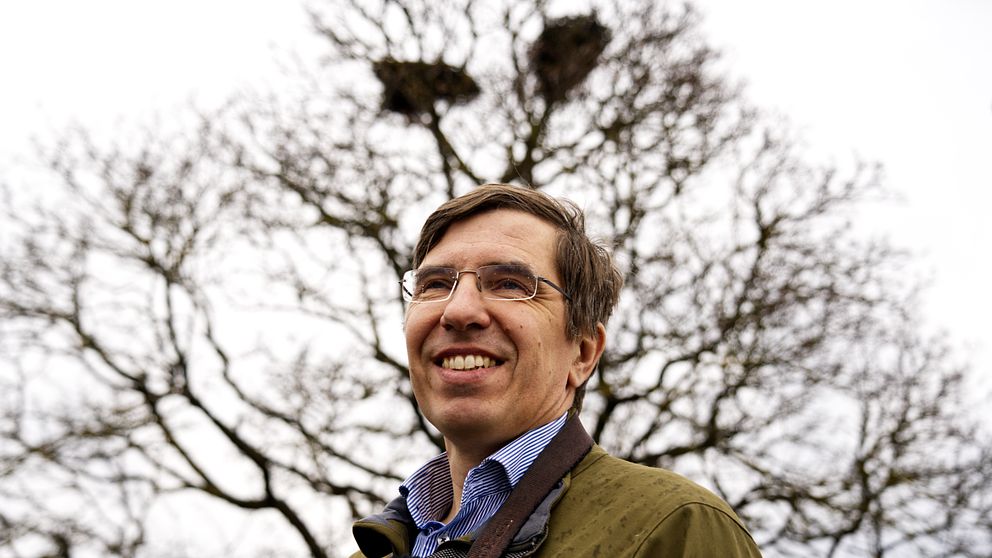 Fågelterrorn i Björklinge: ”De förstör och skitar ned” | SVT Nyheter