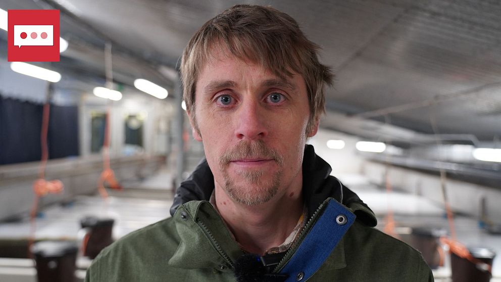 Han söker bevis på skarvens aptit – i bajset | SVT Nyheter