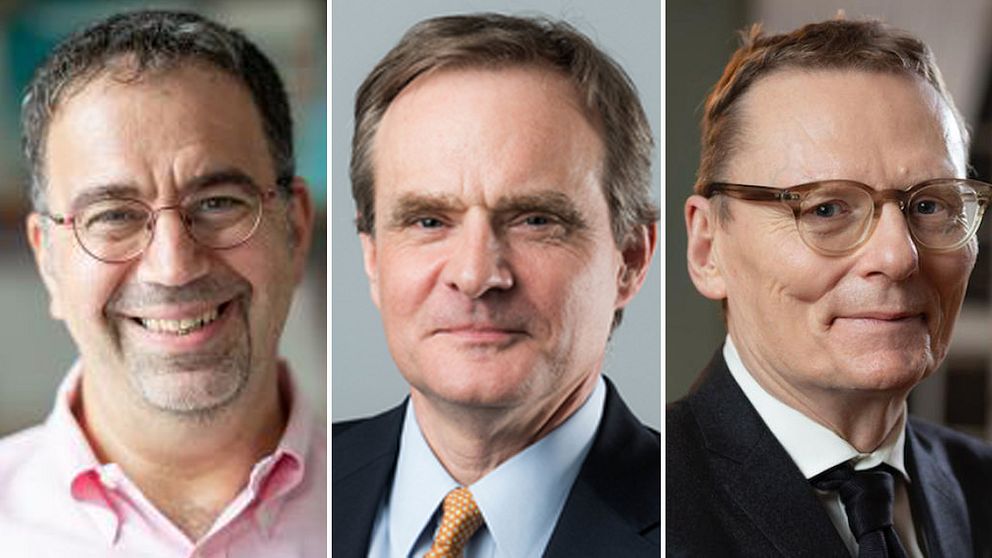 Förstå ekonomipriset på 60 sekunder – Norén reder ut | SVT Nyheter