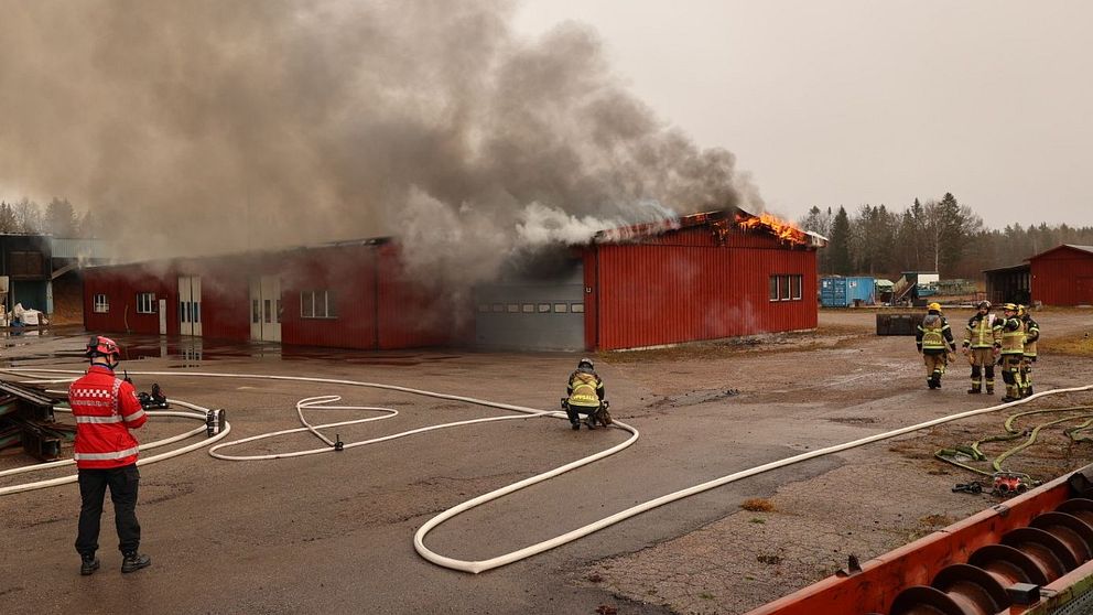 Tierps kommun | SVT Nyheter