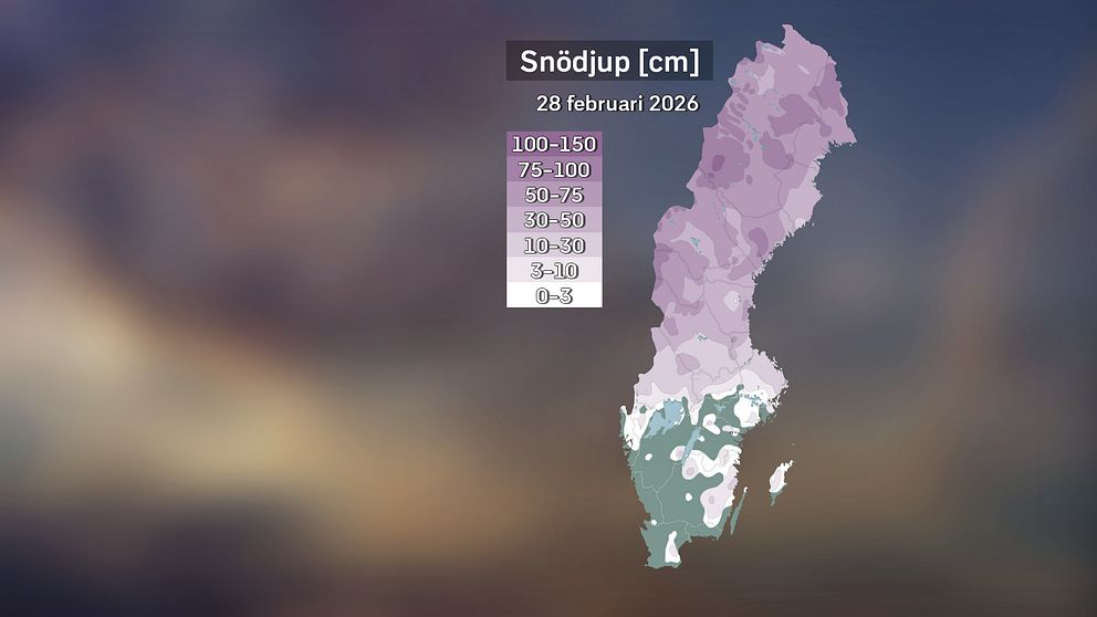 Analys: ”Februari 2026: Kallt och lugnt mest hela tiden” | SVT Nyheter