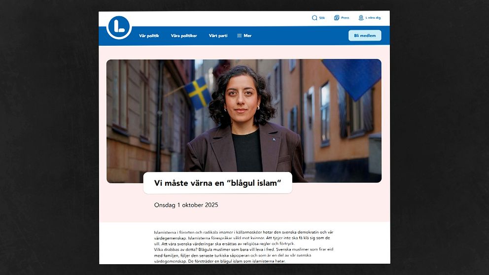 Jimmie Åkesson: Då har jag svårt att se att man är svensk | SVT Nyheter