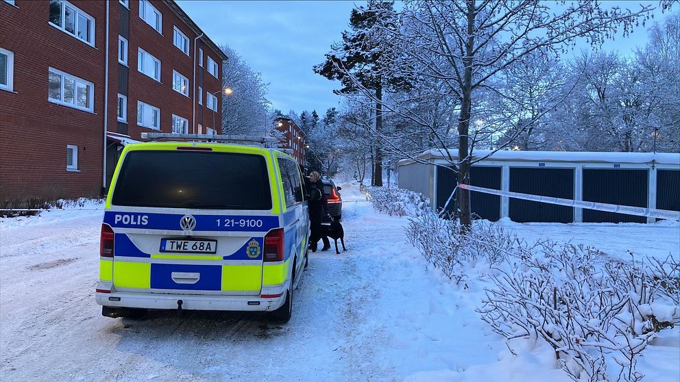 Lisbeth Liljegren mördades i Valsätra – dottern: ”Vi hoppas på ett ...