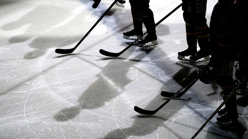 Hockeyspelare från Södertälje döms för bidragsbrott | SVT Nyheter