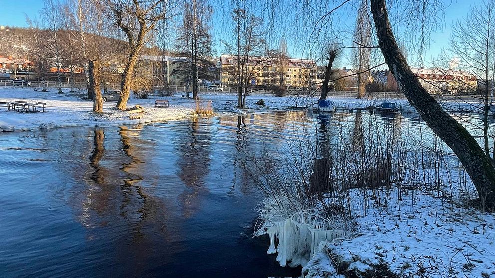 Se vinterbilder från läsarna | SVT Nyheter