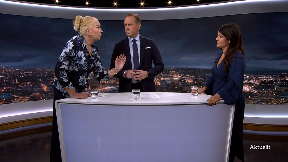 Kritik mot SVT-program med Stina Wollter efter antisemitiska uttalanden ...