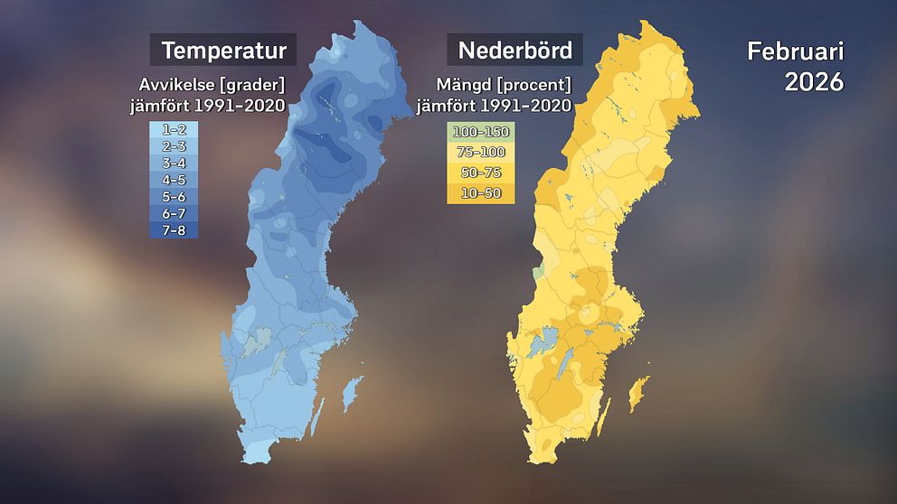 Analys: ”Februari 2026: Kallt och lugnt mest hela tiden” | SVT Nyheter