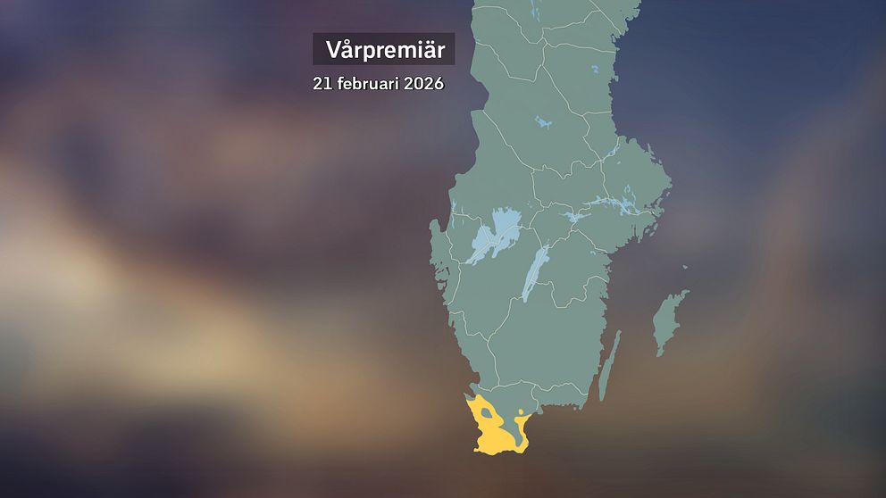 Analys: ”Februari 2026: Kallt och lugnt mest hela tiden” | SVT Nyheter