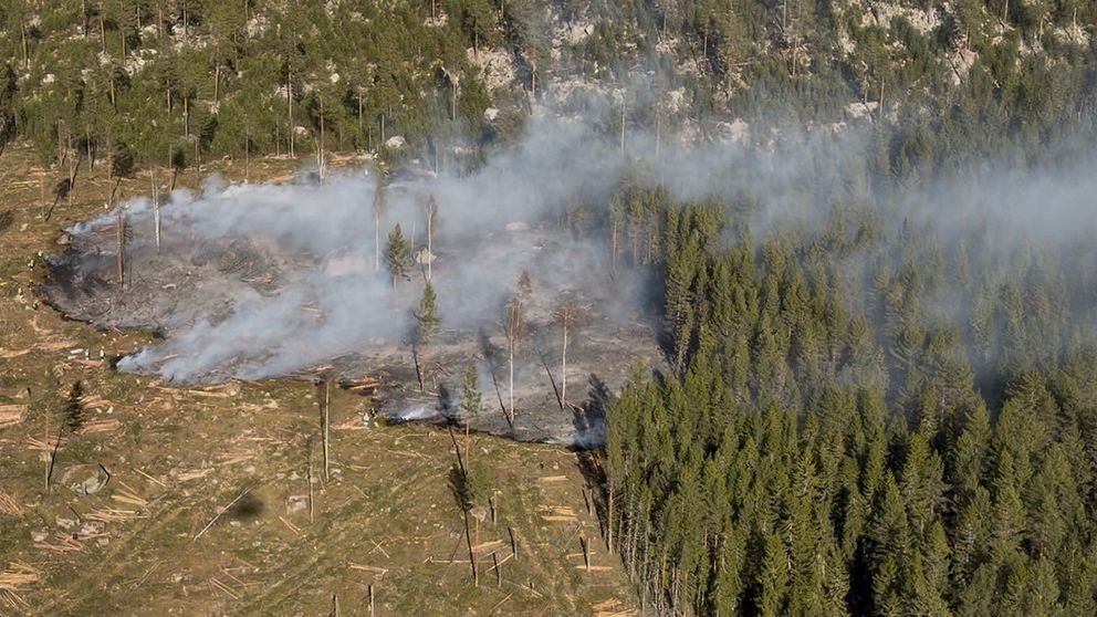 Skogsbrand bröt ut norr om Falun – inringare såg rökpelare | SVT Nyheter