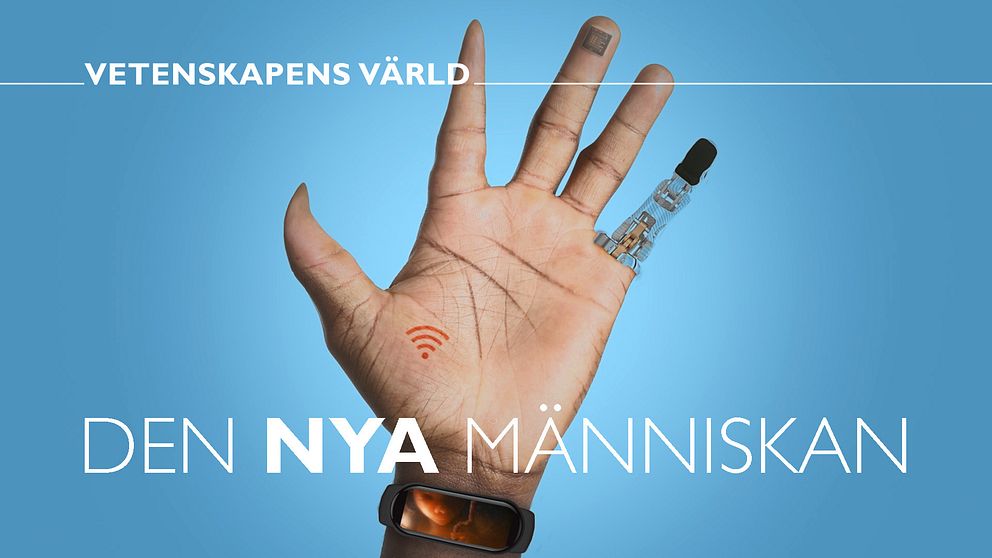 Det avgör hur långa vi blir – inte bara gener | SVT Nyheter