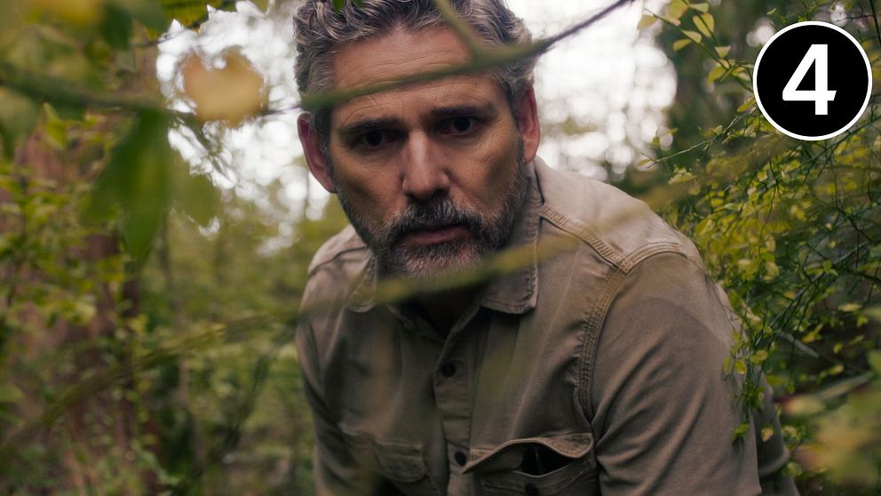 Recension: ”The Bear” säsong 3 | SVT Nyheter