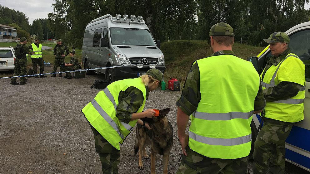 Fler frivilliga behövs i sökandet | SVT Nyheter