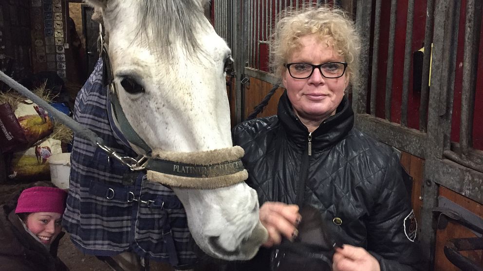 Häst fastnade på rygg – fick hjälpas loss av brandkåren | SVT Nyheter