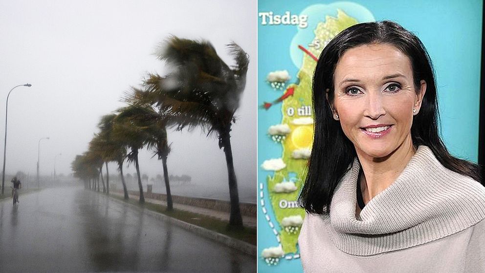 2017 – ett år med förödande naturkatastrofer | SVT Nyheter
