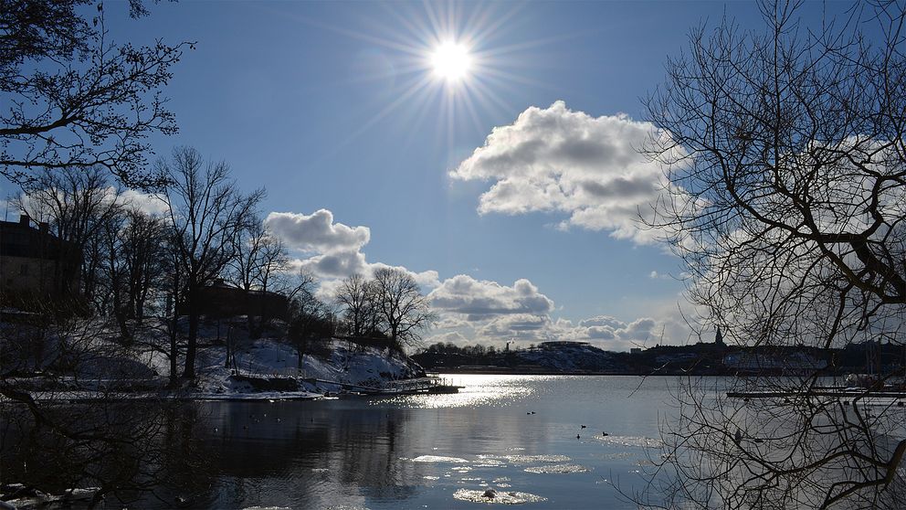 Dela med dig av dina vårbilder | SVT Nyheter