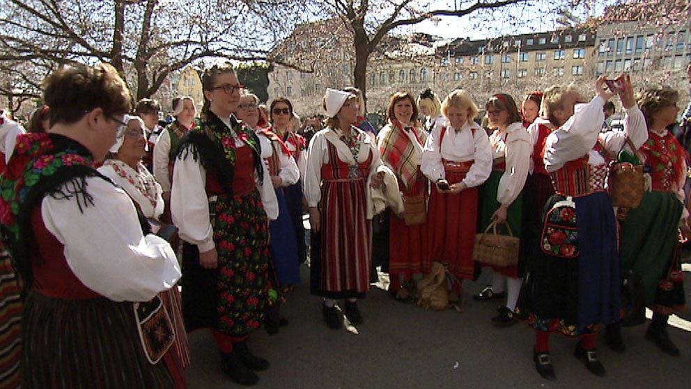Kullor firade körsbärsblommans dag | SVT Nyheter