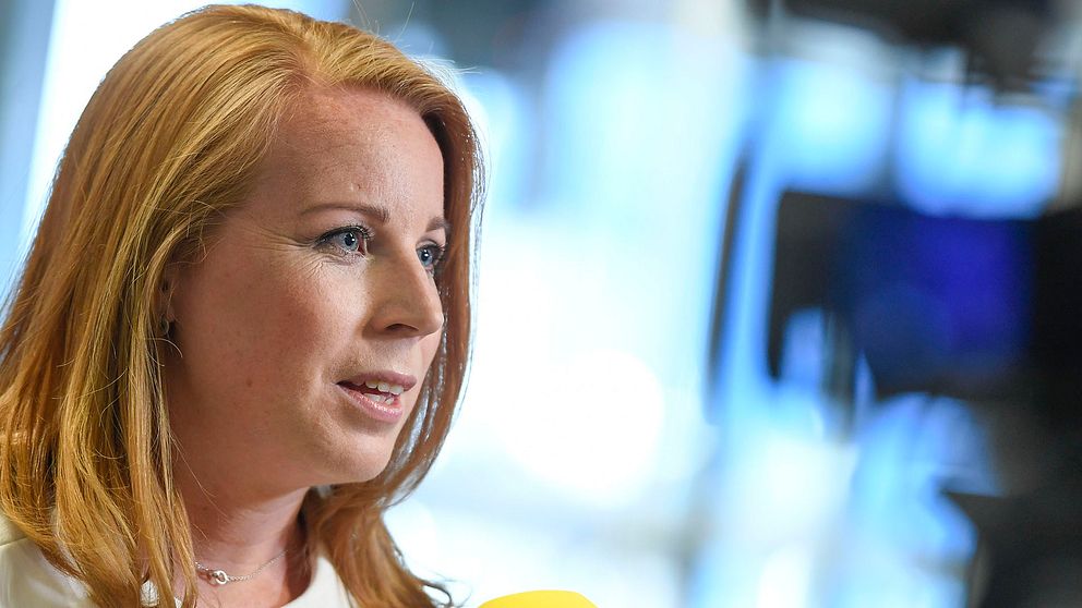 Annie Lööf ”givetvis Har Det Skadat Alliansen” Svt Nyheter