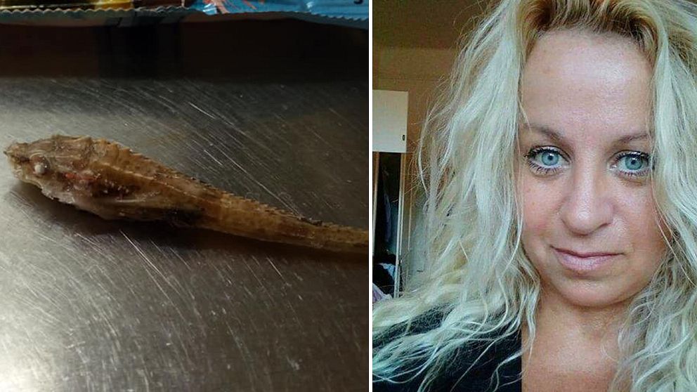 Madeleine hittade ful fisk bland räkorna | SVT Nyheter