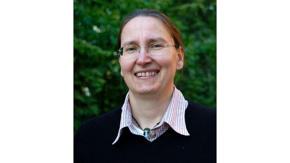 Större risk för sorkfeber i branddrabbade områden | SVT Nyheter