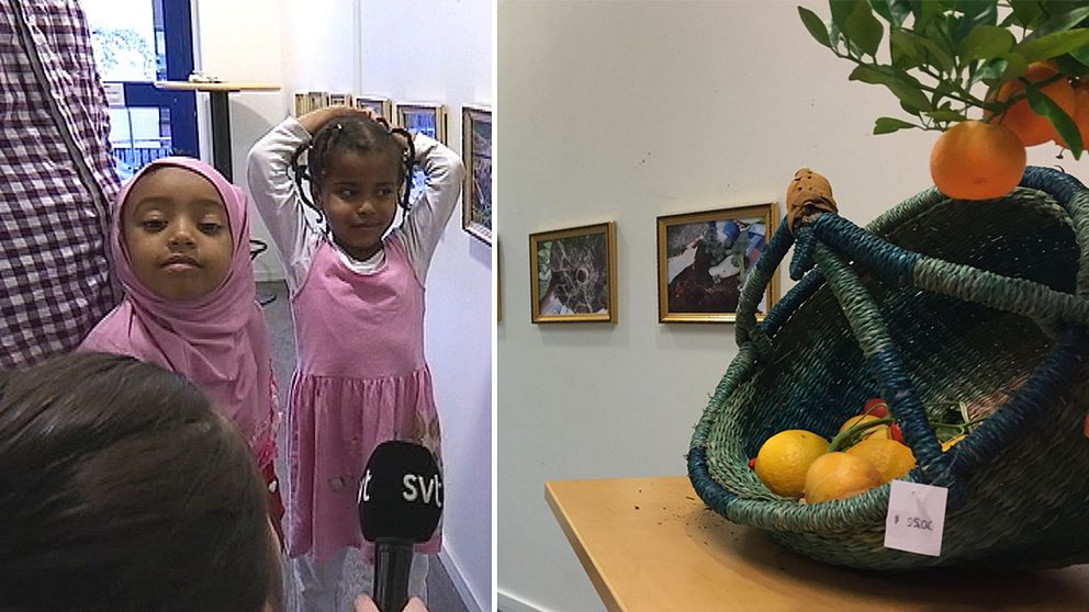 Förskolebarn har lärt sig odla | SVT Nyheter