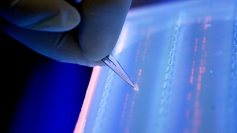 Individuella gentester växande trend | SVT Nyheter