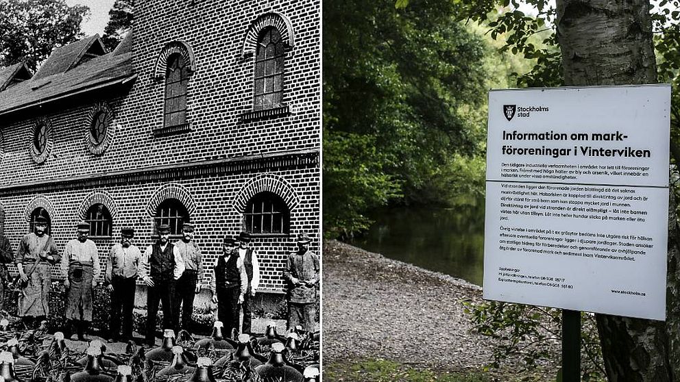 Efter år av sanering – nu blir Vinterviken officiell badplats | SVT Nyheter