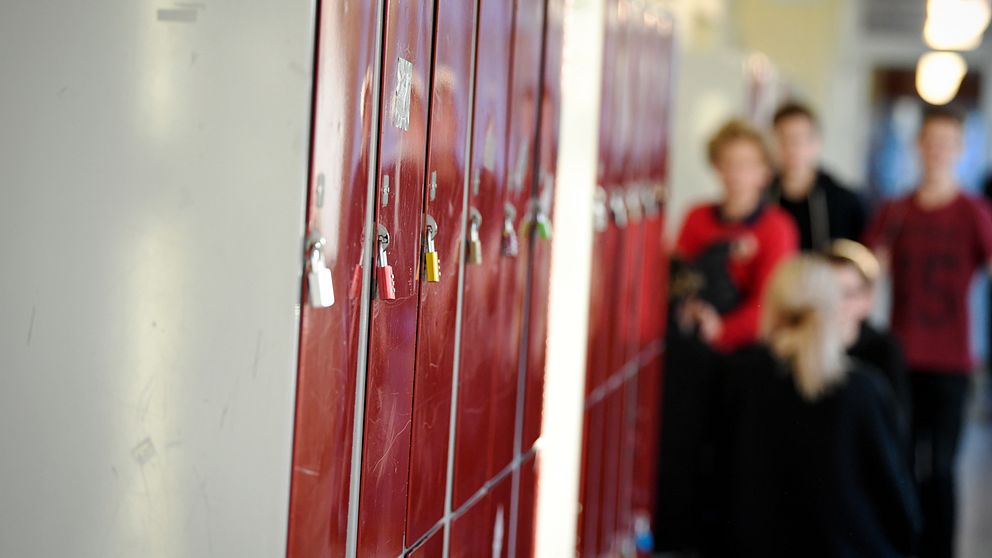 Skolelev Frikänns Från Hets Mot Folkgrupp Efter Nazisthälsning Svt