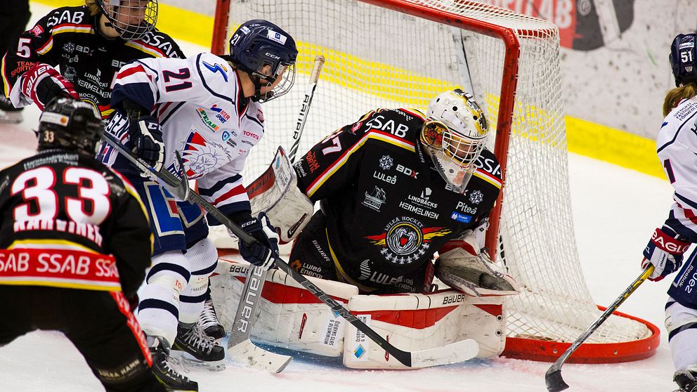 Luleåmålvakt lägger av: ”Jag har haft en underbar karriär” | SVT Nyheter