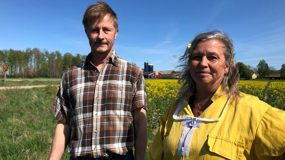 Här har blommor och bin ett lyckat samarbete | SVT Nyheter