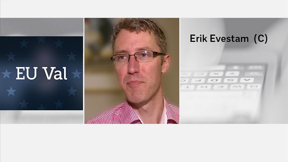 Här är värmlänningarna som kandiderar till EU-parlamentet | SVT Nyheter