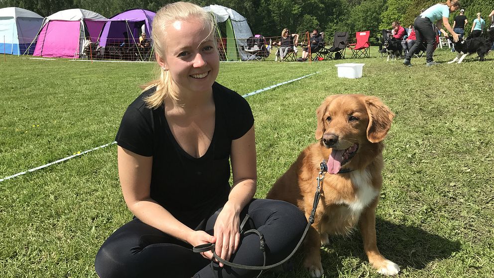 Linn och hunden Fox klarar hindren med hjälp av tecken | SVT Nyheter