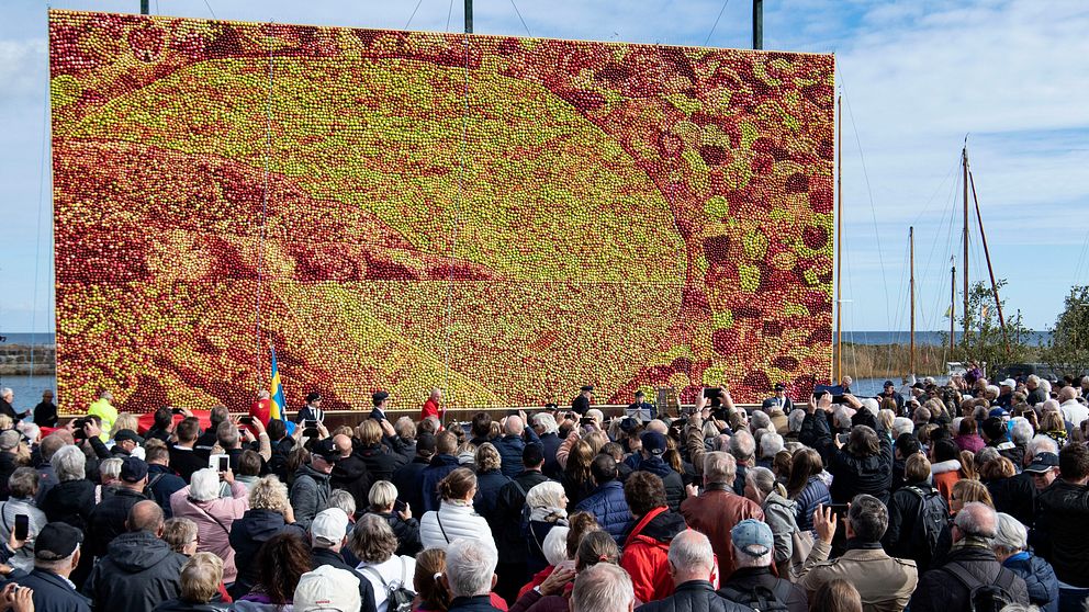Här är potatistavlan – Dalarnas svar på Kiviks äppeltavla | SVT Nyheter