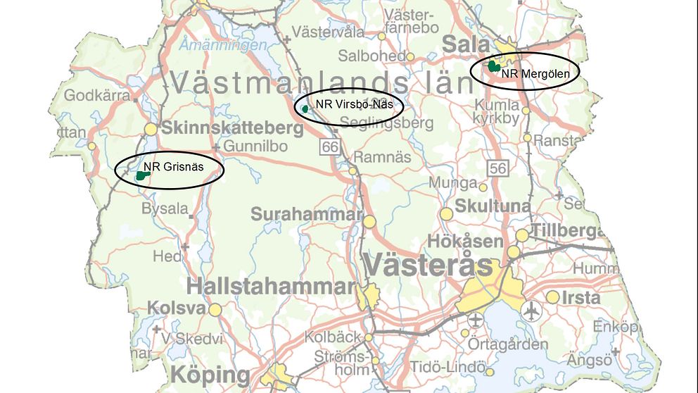 Här är Västmanlands nya naturreservat | SVT Nyheter