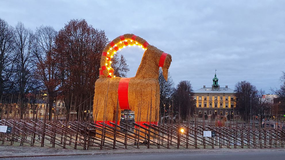 Gävlebocken invigs på traditionellt sätt | SVT Nyheter