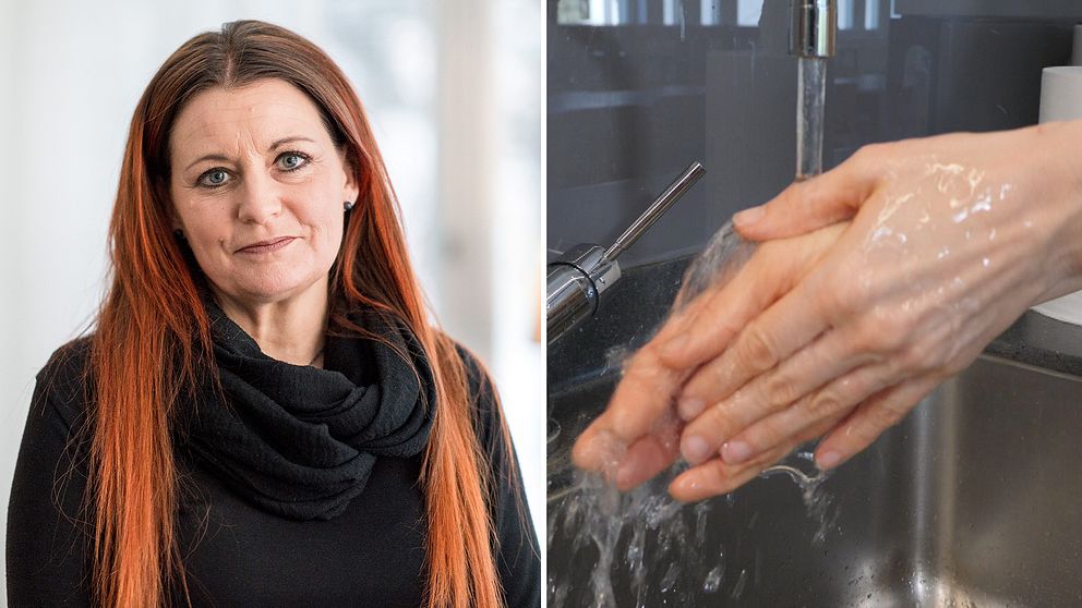 Lista: Så tar du hand om dina livsmedel under rötmånaden | SVT Nyheter