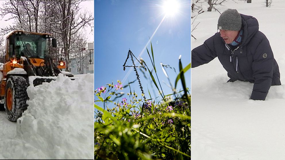Så var väderåret i Norrbotten 2020 | SVT Nyheter