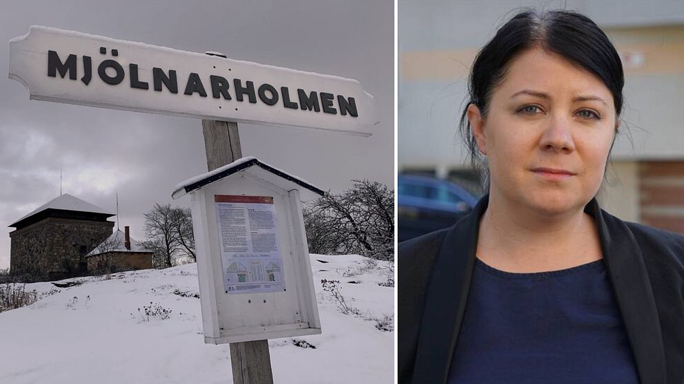 Politiker om piratprojektet: ”Har aldrig diskuterats överhuvudtaget ...