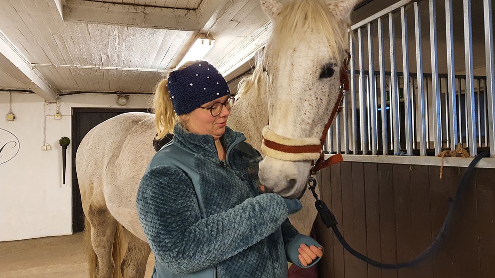 Amanda blev offer för hästsadel-ligan: ”Inte lätt att skydda sig” | SVT ...