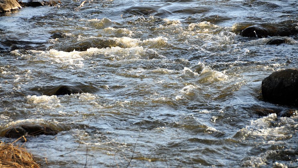 Flera varningar för höga vattenflöden i länet | SVT Nyheter